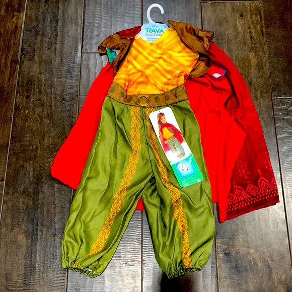 Disney | Costumes | Disney Raya And The Last Dragon Costume | Poshmark